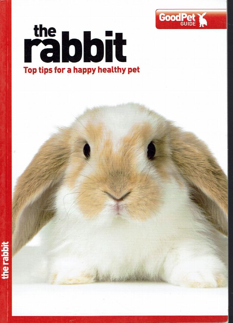 The Rabbit: Good Pet Guide